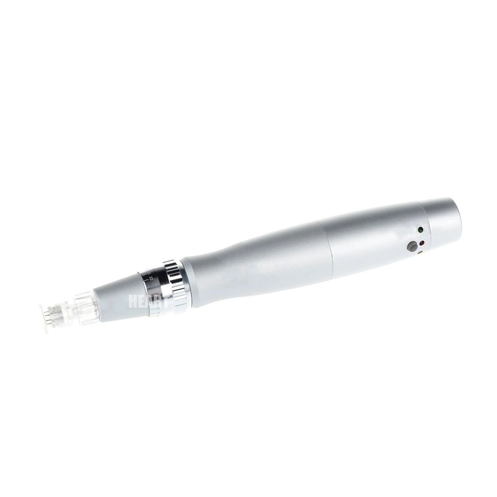 Electric Micro-Needle Machine DermaPen – Theresia Cosmetics
